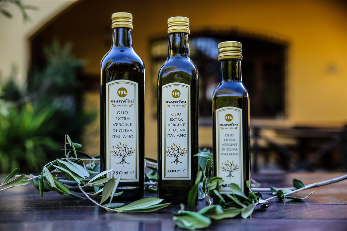 Frantoio Oleario Andrea Marcolini nelle colline tra Pesaro e Fano